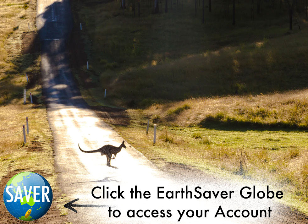 Invisi-Socks Bamboo 2 pk – Earth to Life